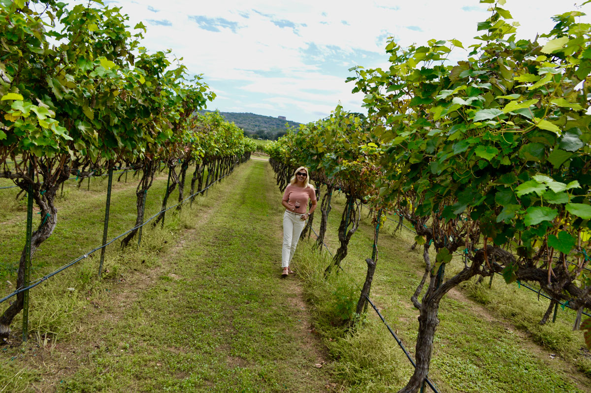 Sustainable farming yields exceedingly abundant vines